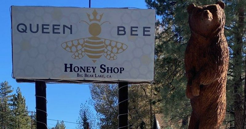 Queen Bee | Big Bear Lake, CA