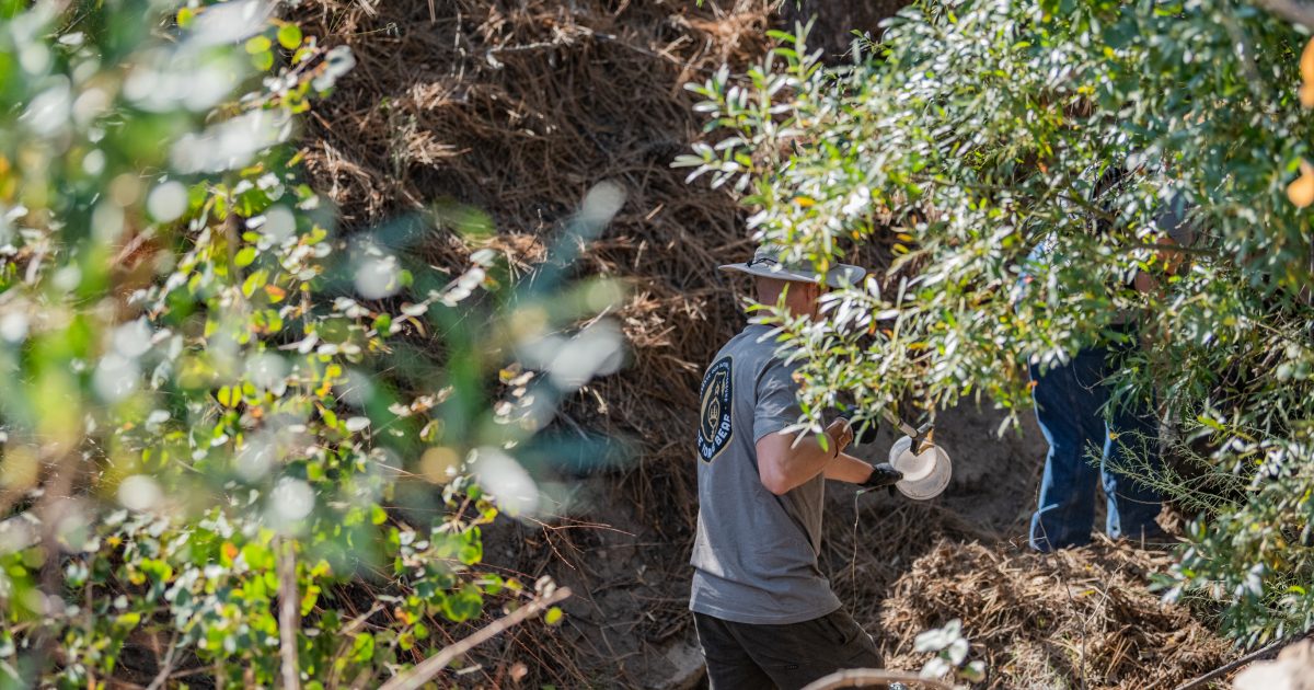 Big Bear, CA Community Forges a Cleaner Future | Big Bear Lake, CA