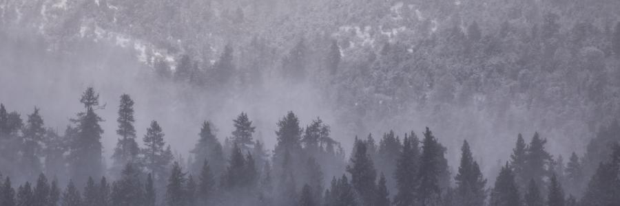 Guess the NEXT Big Bear Snowfall Contest | Big Bear, CA | Big Bear Lake, CA