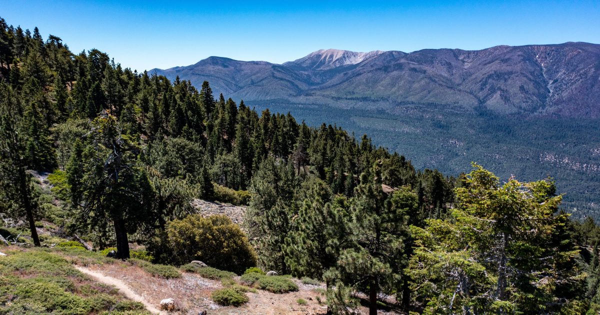 Care For Big Bear 1% Challenge | Big Bear, CA | Big Bear Lake, CA