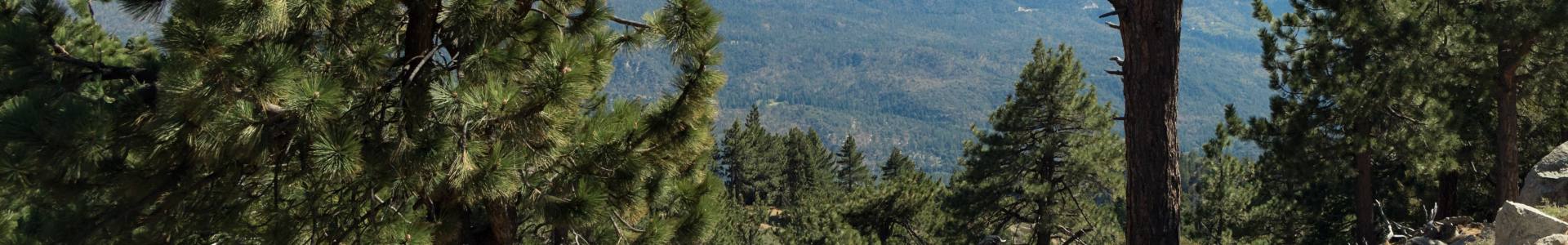 Top Things to Do in Big Bear in Spring | Big Bear Lake, CA | Big Bear ...