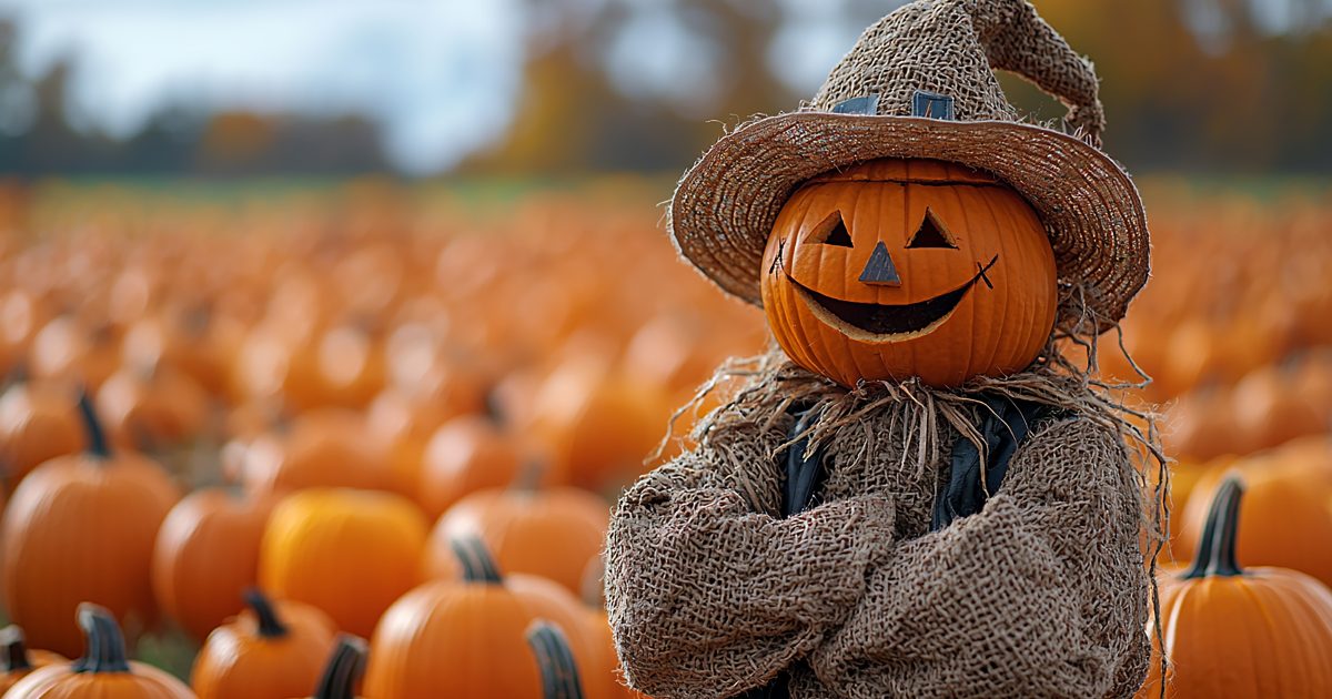 Big Bear Scarecrow Contest | Big Bear, CA | Big Bear Lake, CA