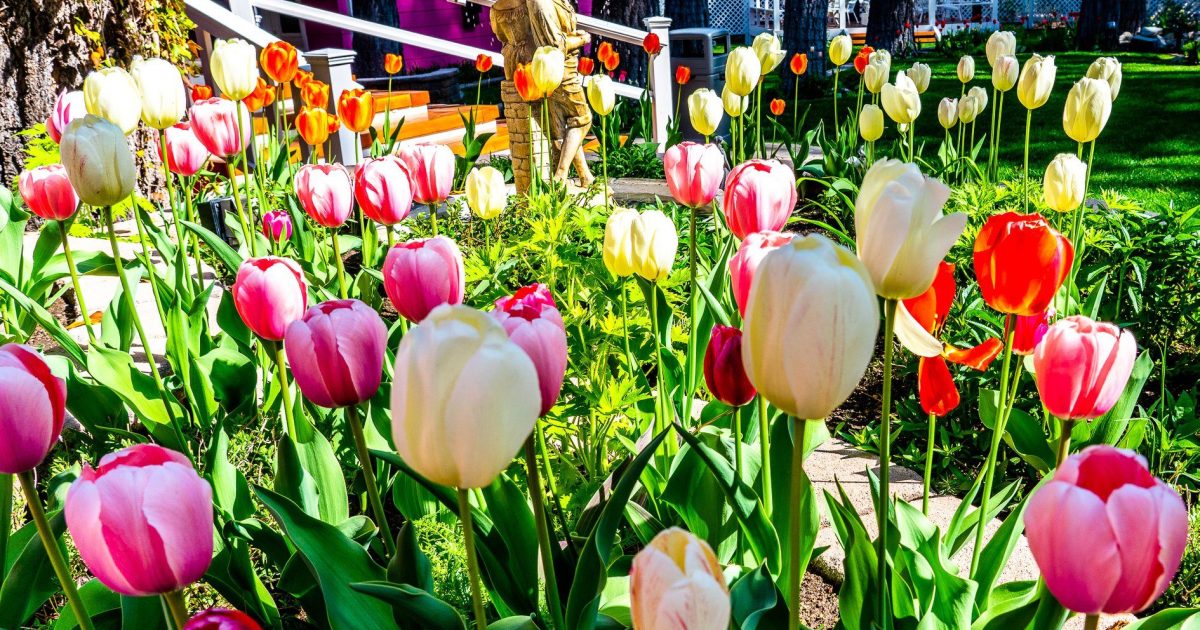 Top Things to Do in Big Bear in Spring | Big Bear Lake, CA | Big Bear ...